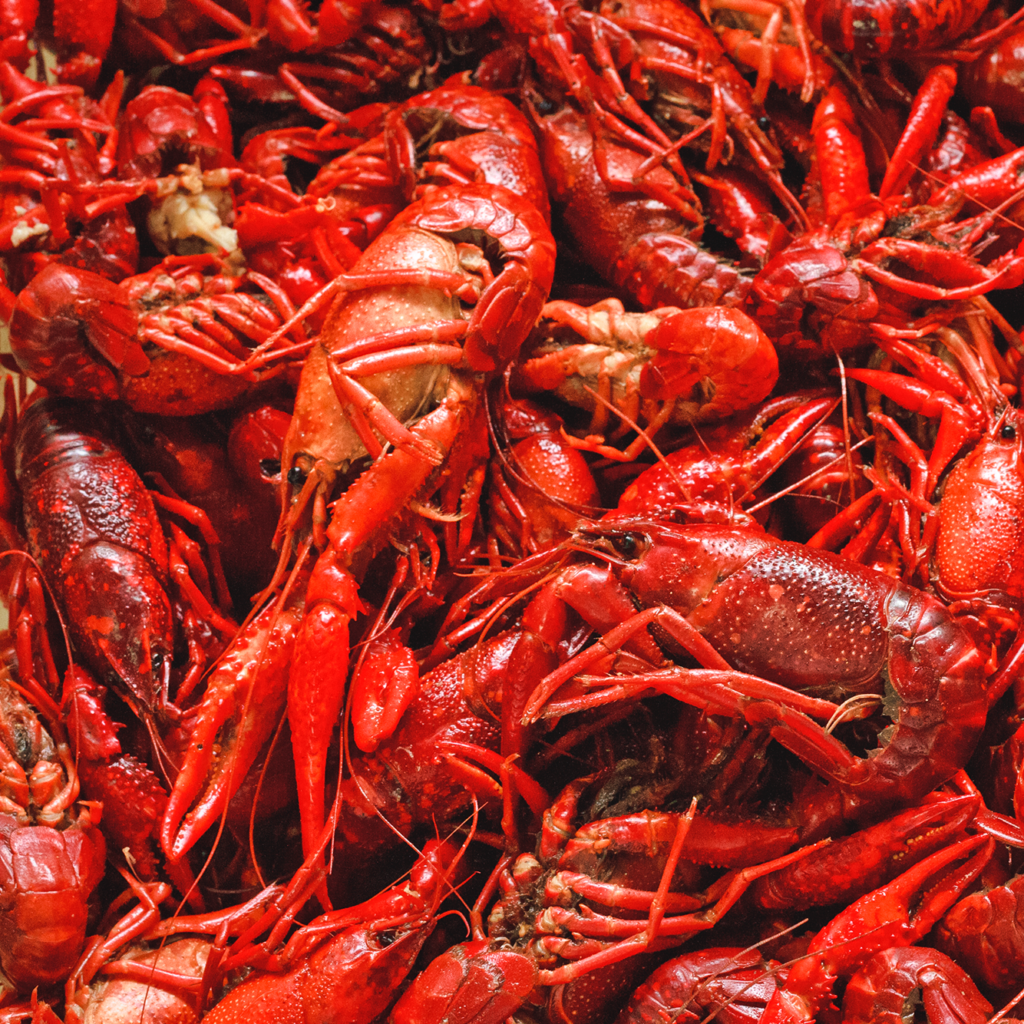 Home - Capt Sid's Seafood